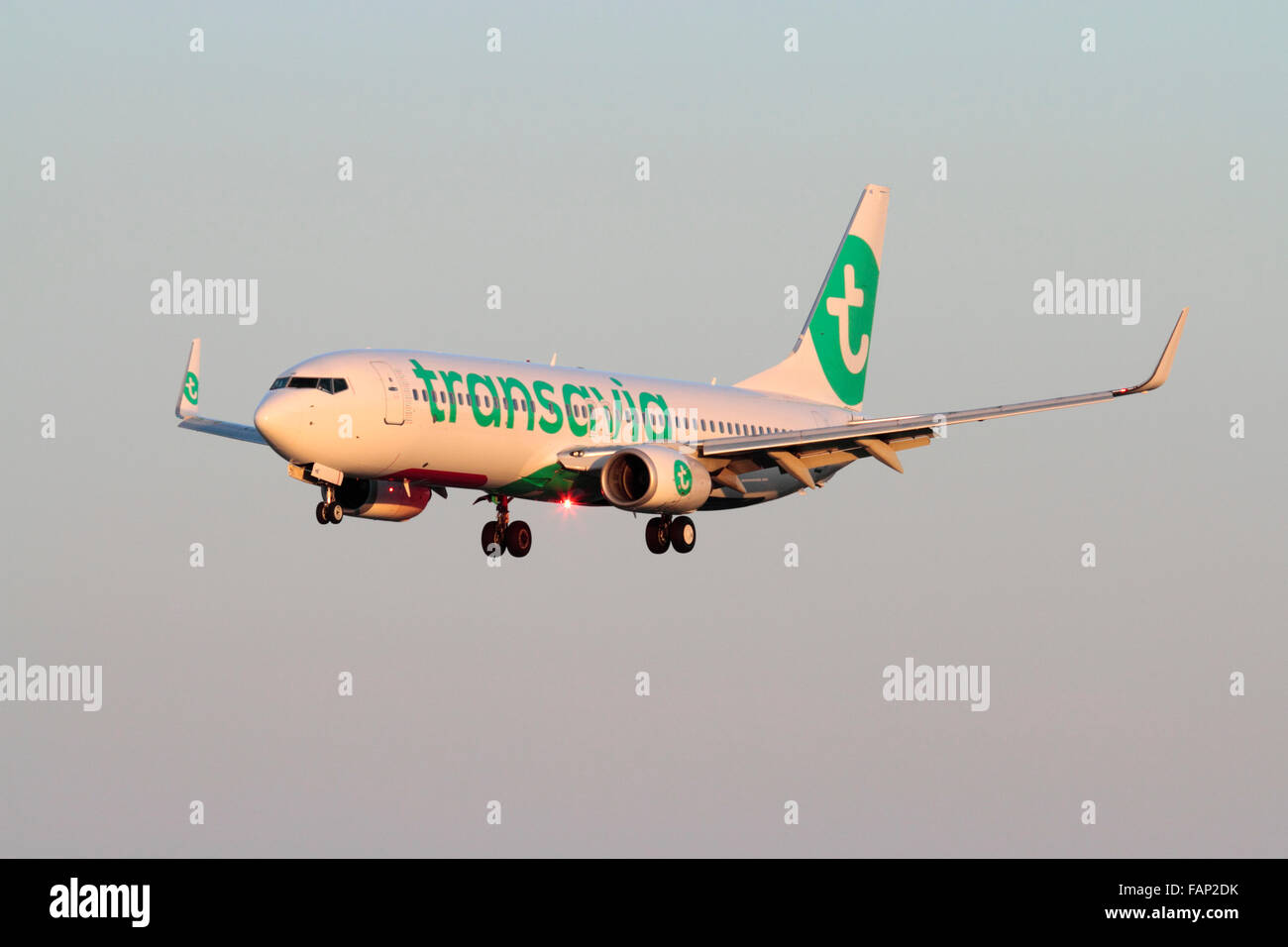 Transavia Boeing 737-800 in the airline's revised colours on approach ...
