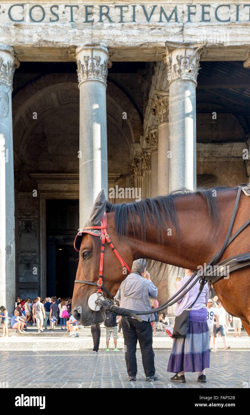 Roman horse carriage hi-res stock photography and images - Alamy