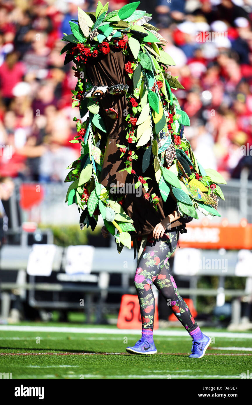 Iowa Hawkeyes Mascot High Resolution Stock Photography and Images - Alamy