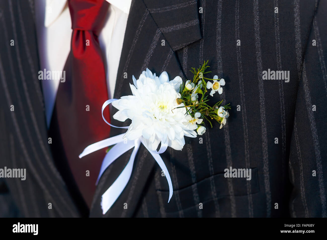 close-up black jacket groom on their wedding day with a red tie and ...