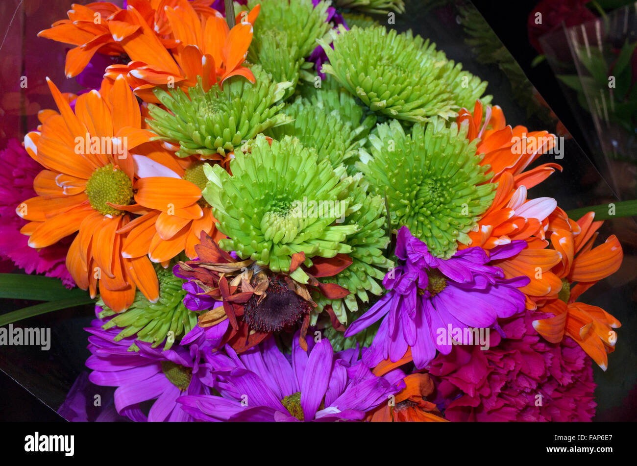 C5649 002 hi-res stock photography and images - Alamy