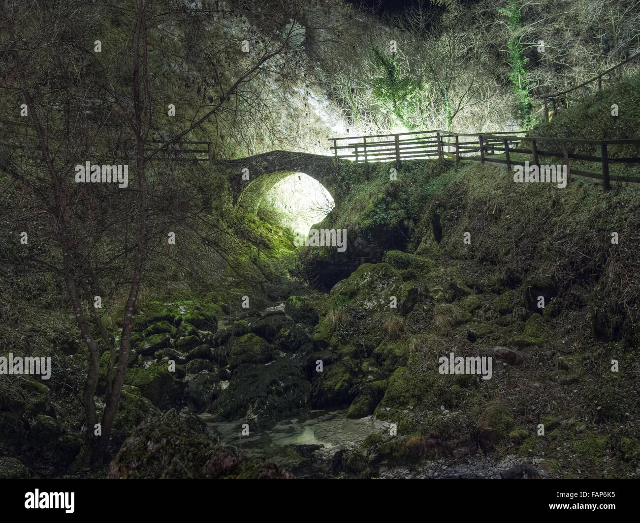 Magical night scene. Mtystical Stock Photo - Alamy