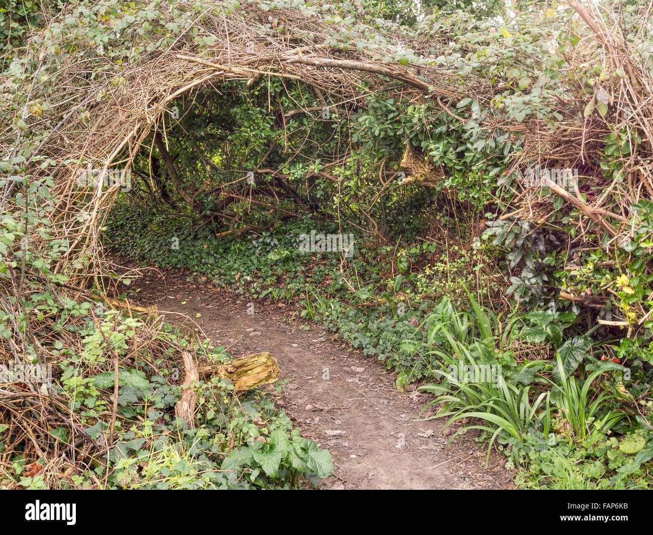 Secret entrance hi-res stock photography and images - Alamy