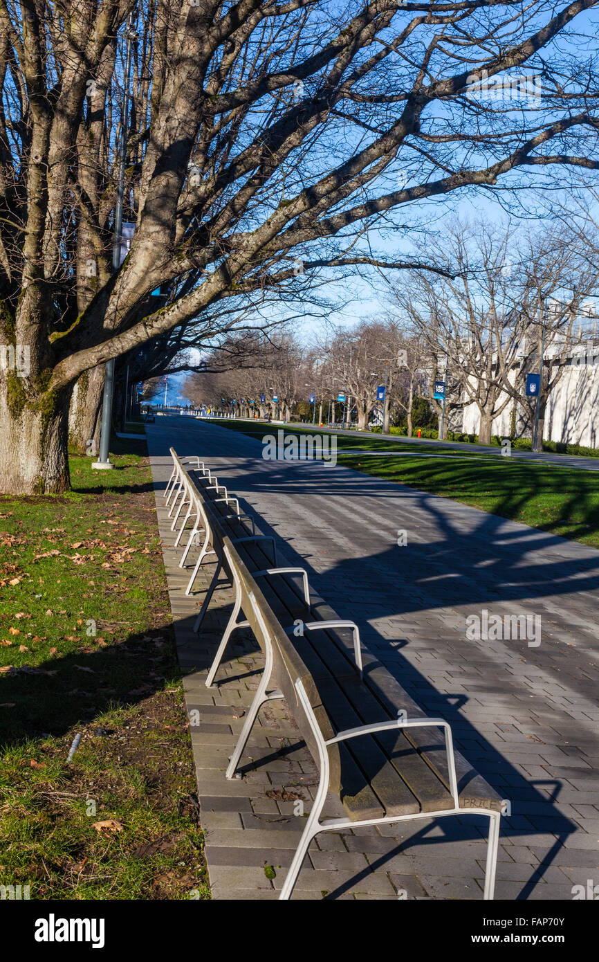 The Main Mall on the campus of UBC, Vancouver, British Columbia Stock ...