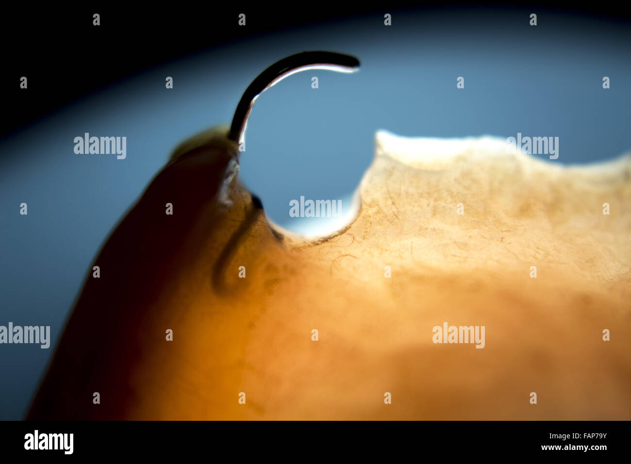 Removable partial denture metal and plastic dental false teeth ...