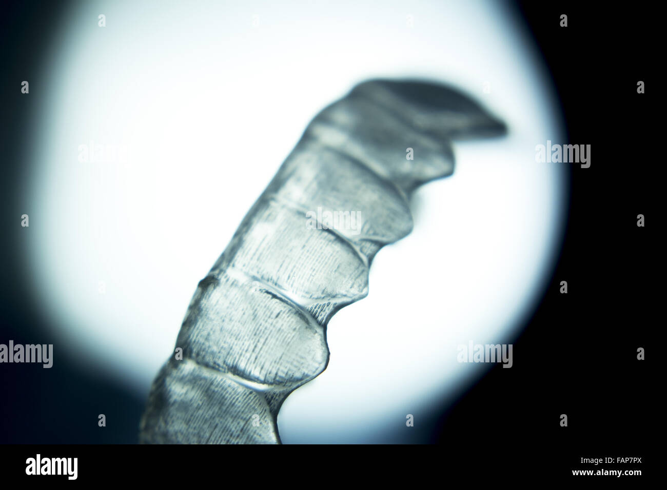 Invisible dental aligners modern tooth brackets transparent teeth ...