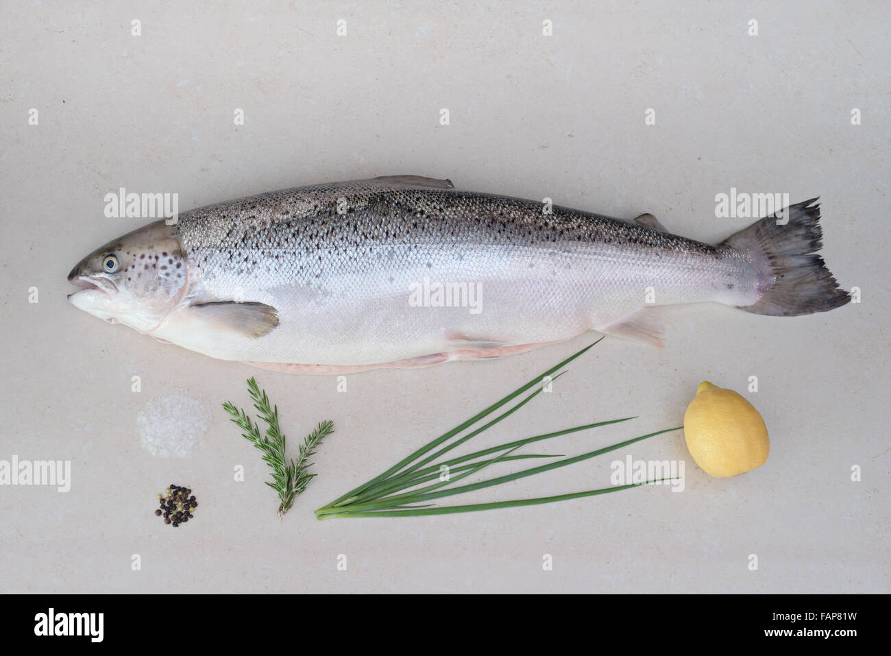 Cooked whole salmon hi-res stock photography and images - Alamy