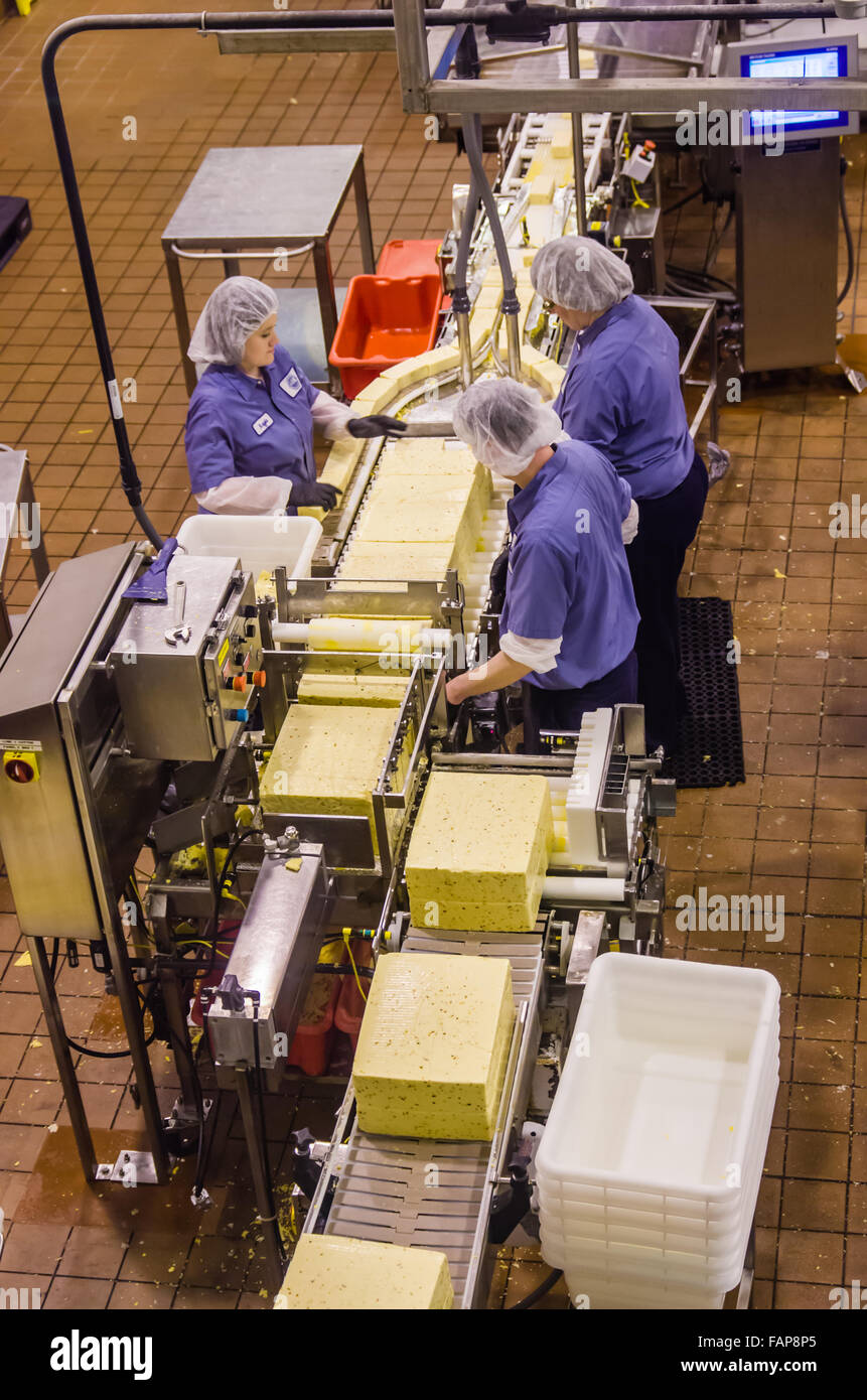 Cheese Factory Stock Photos & Cheese Factory Stock Images - Alamy
