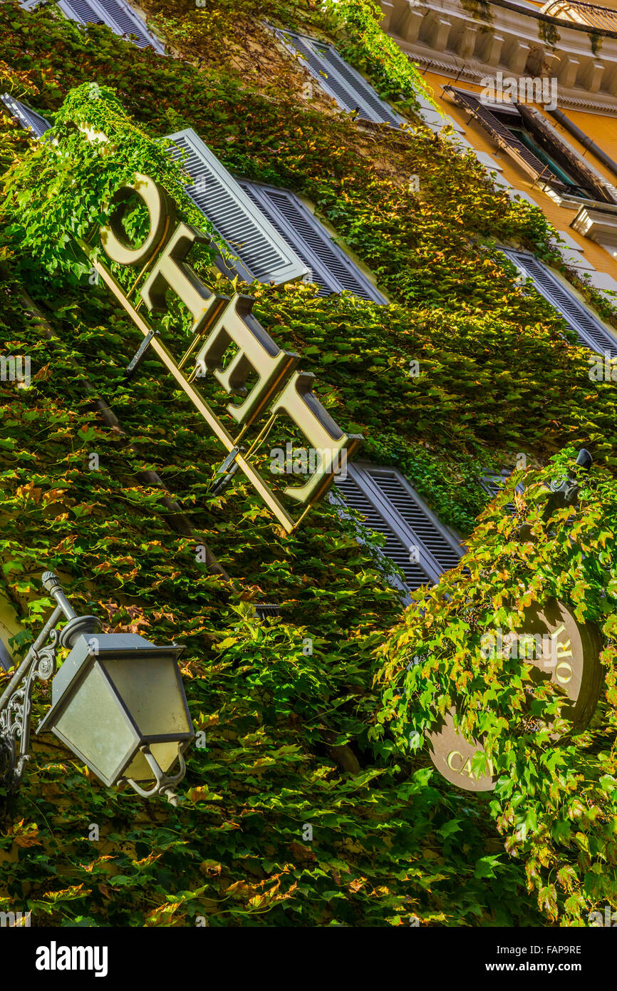 vines on Hotel by Piazza Campo Dè Fiori, Rome Stock Photo - Alamy