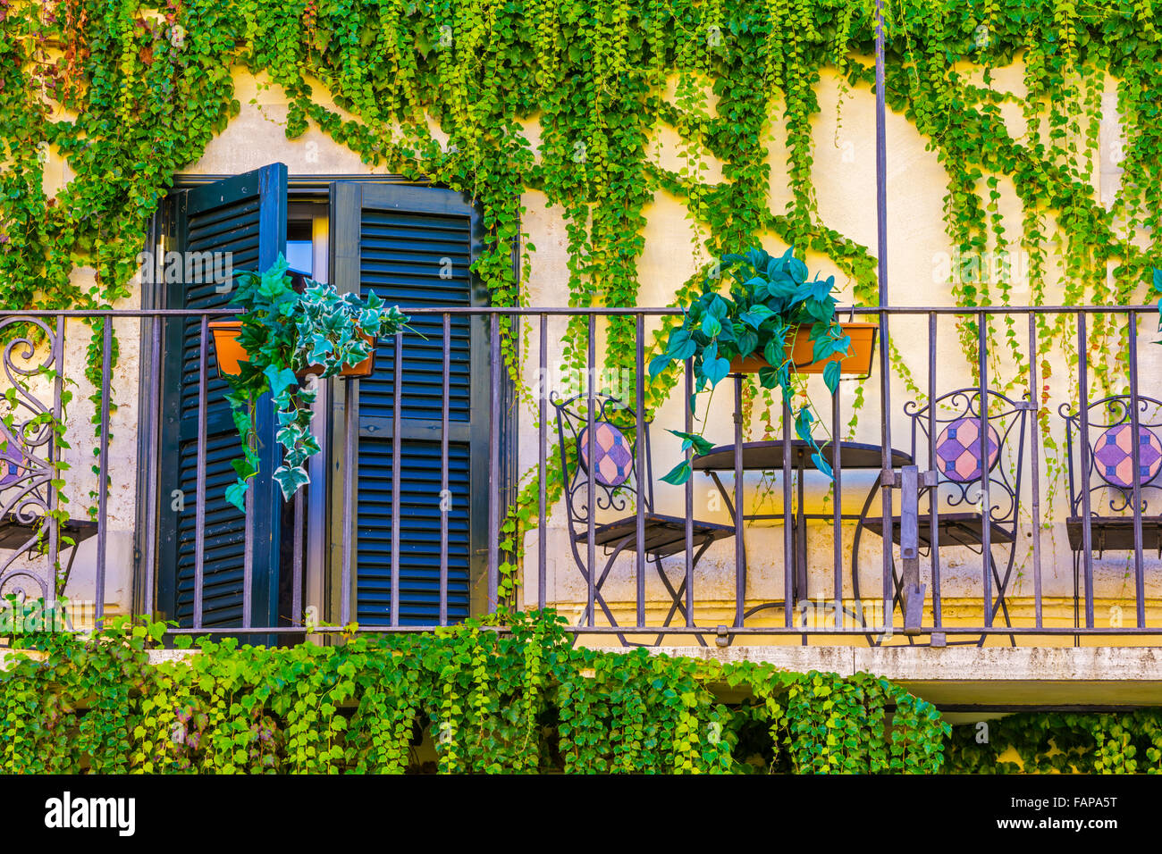Vines on balcony hi-res stock photography and images - Alamy