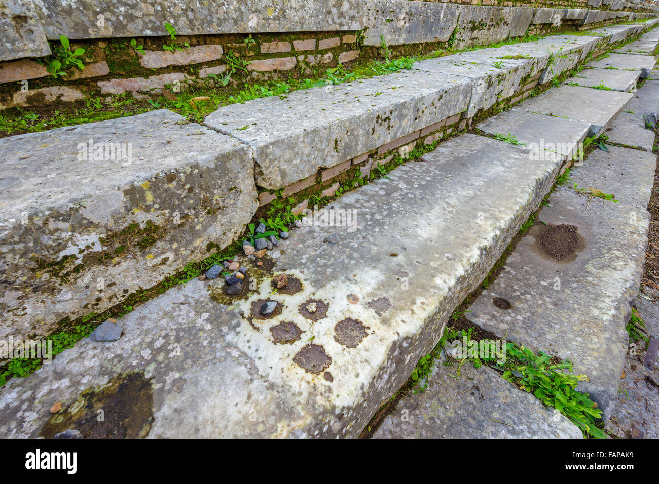 ruins in the Roman Forum Stock Photo - Alamy