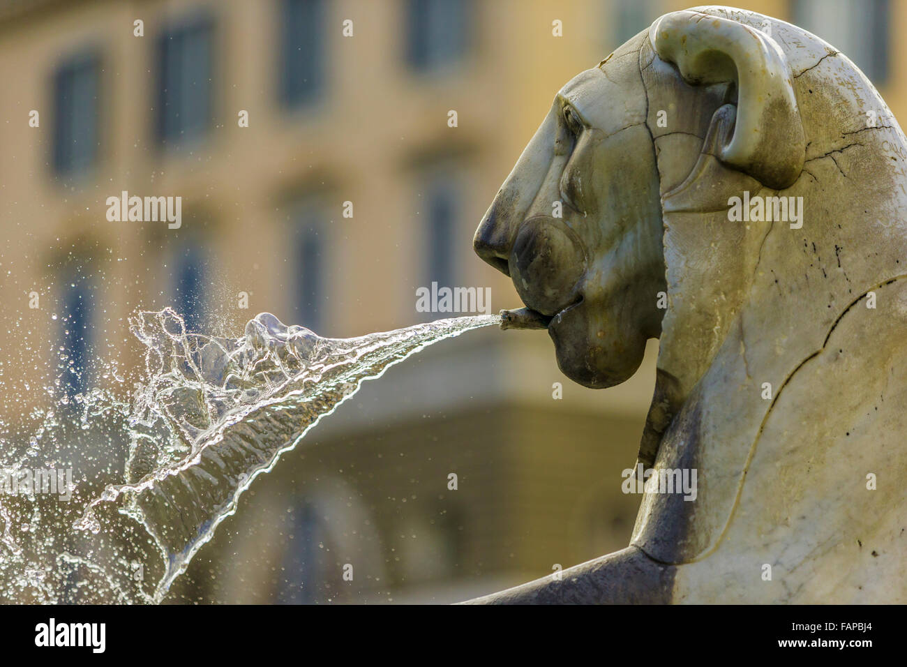 Roma lion fountain hi-res stock photography and images - Alamy