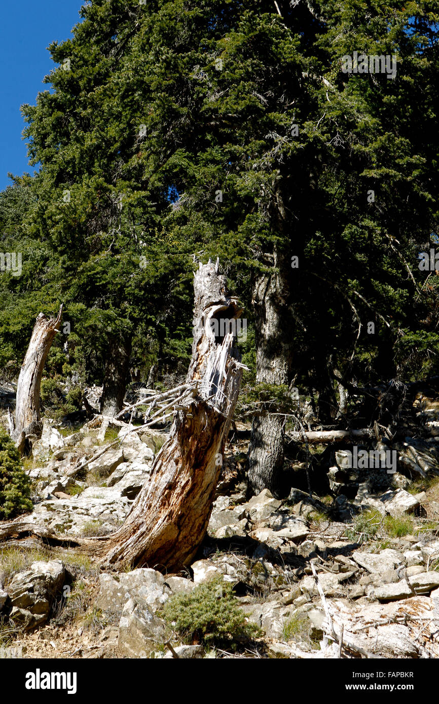 Orini Nafpaktia Greece Stock Photo - Alamy