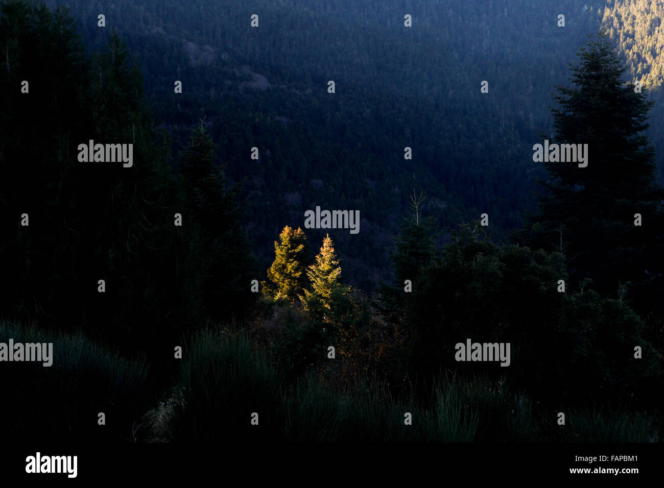 Orini nafpaktia greece hi-res stock photography and images - Alamy