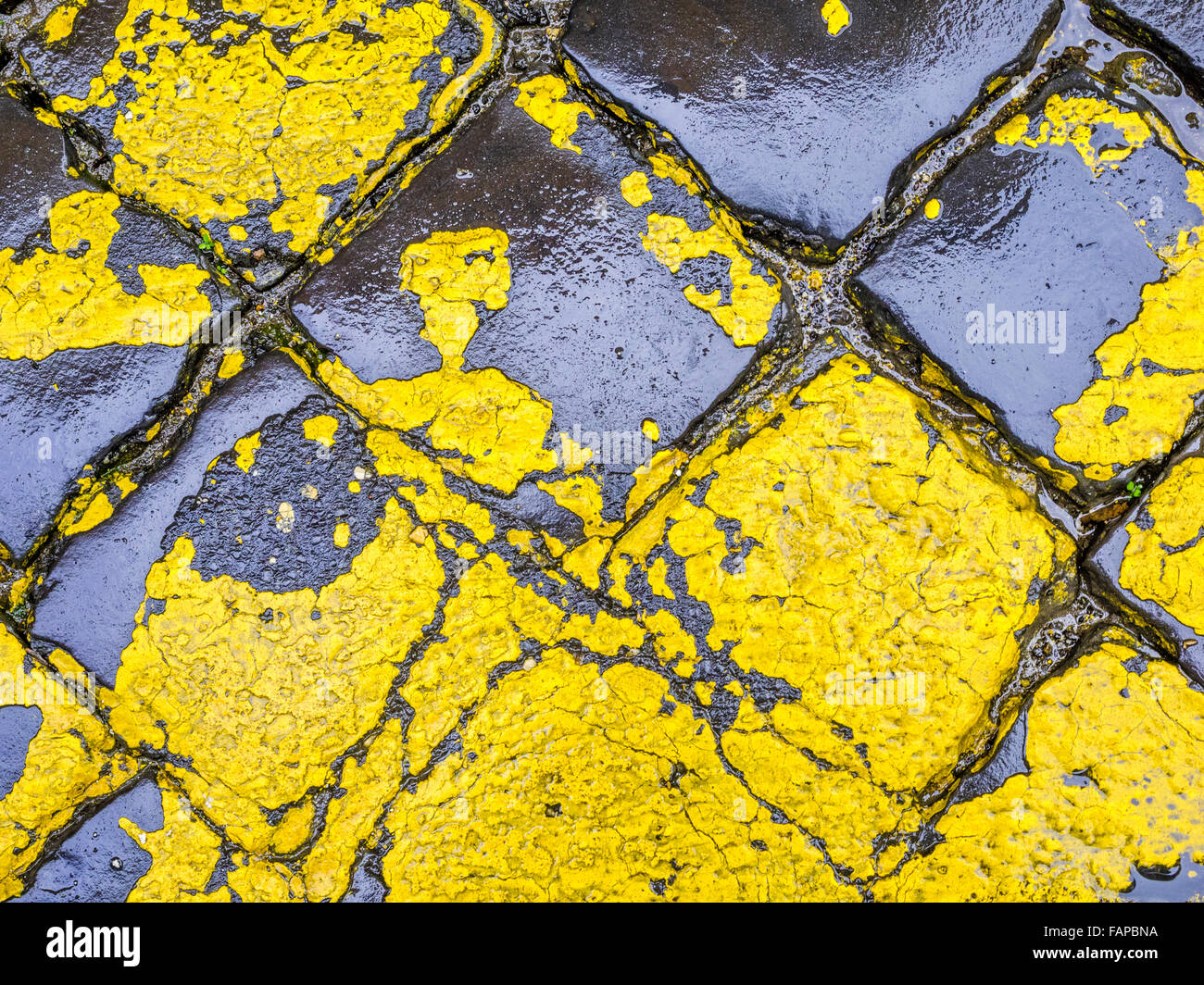 Cobbled street and yellow line in the centro storico area of Rome ...