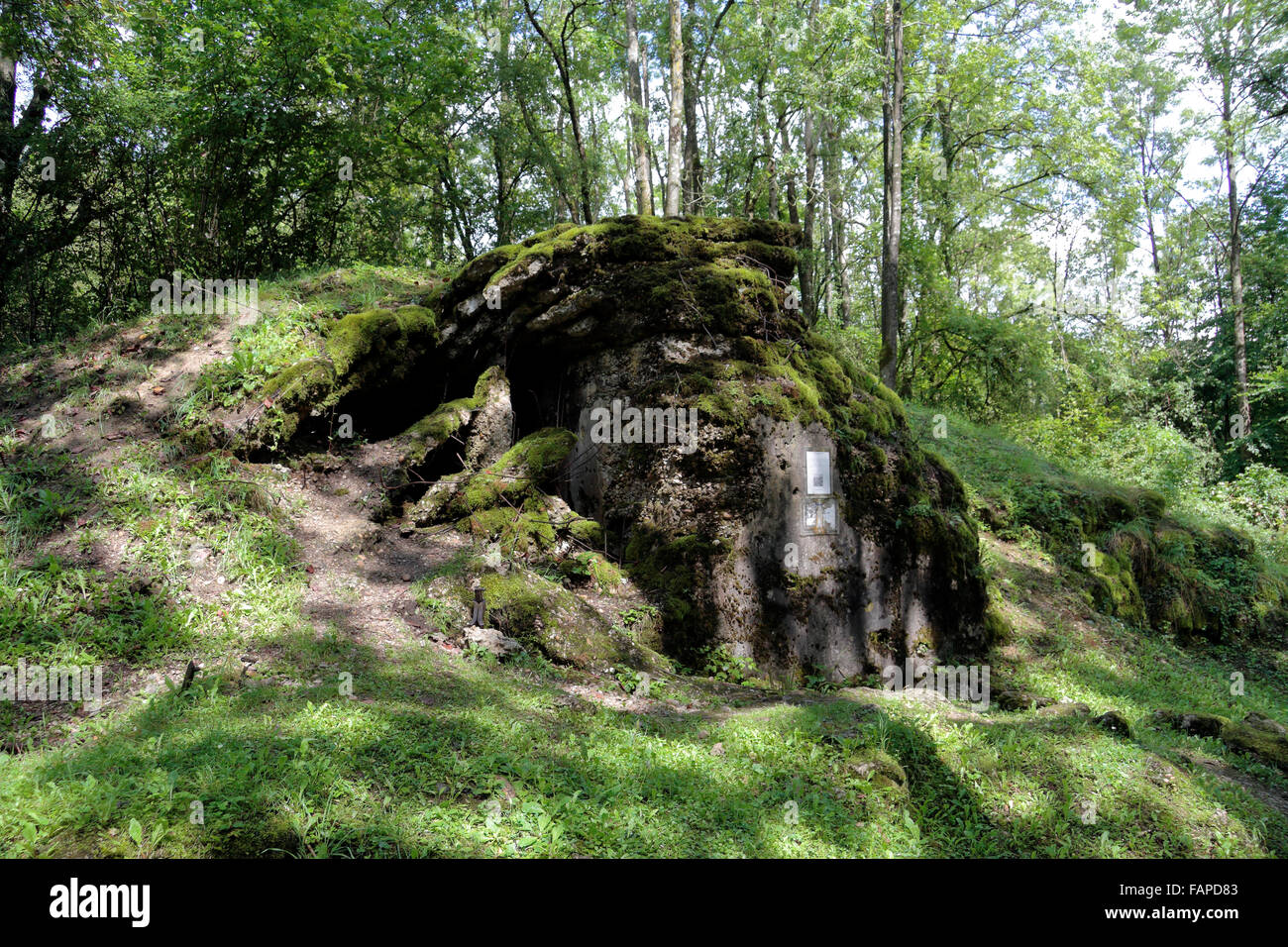 Remains of World War One bunker near Douaumont, Verdun, Meuse, France ...