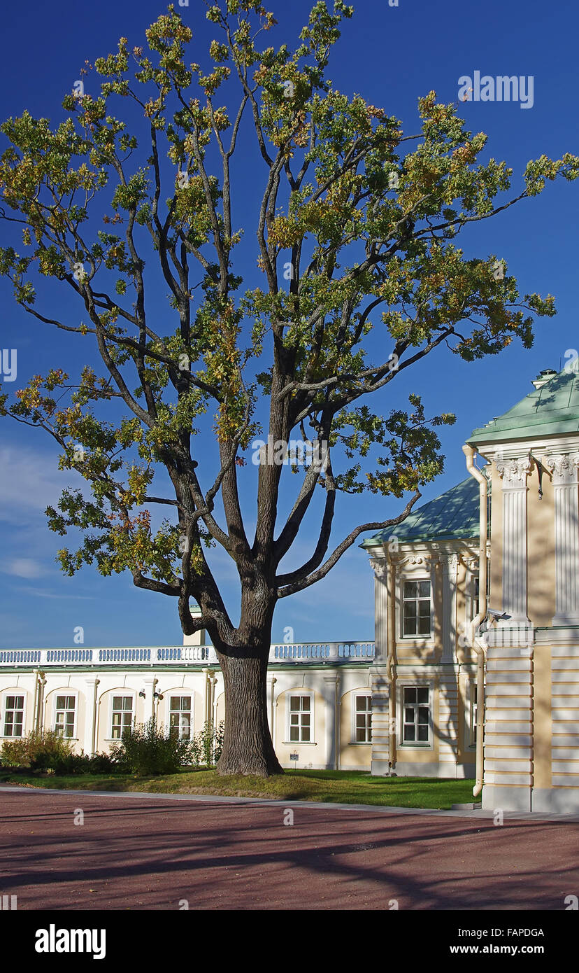 Building by a park hi-res stock photography and images - Alamy