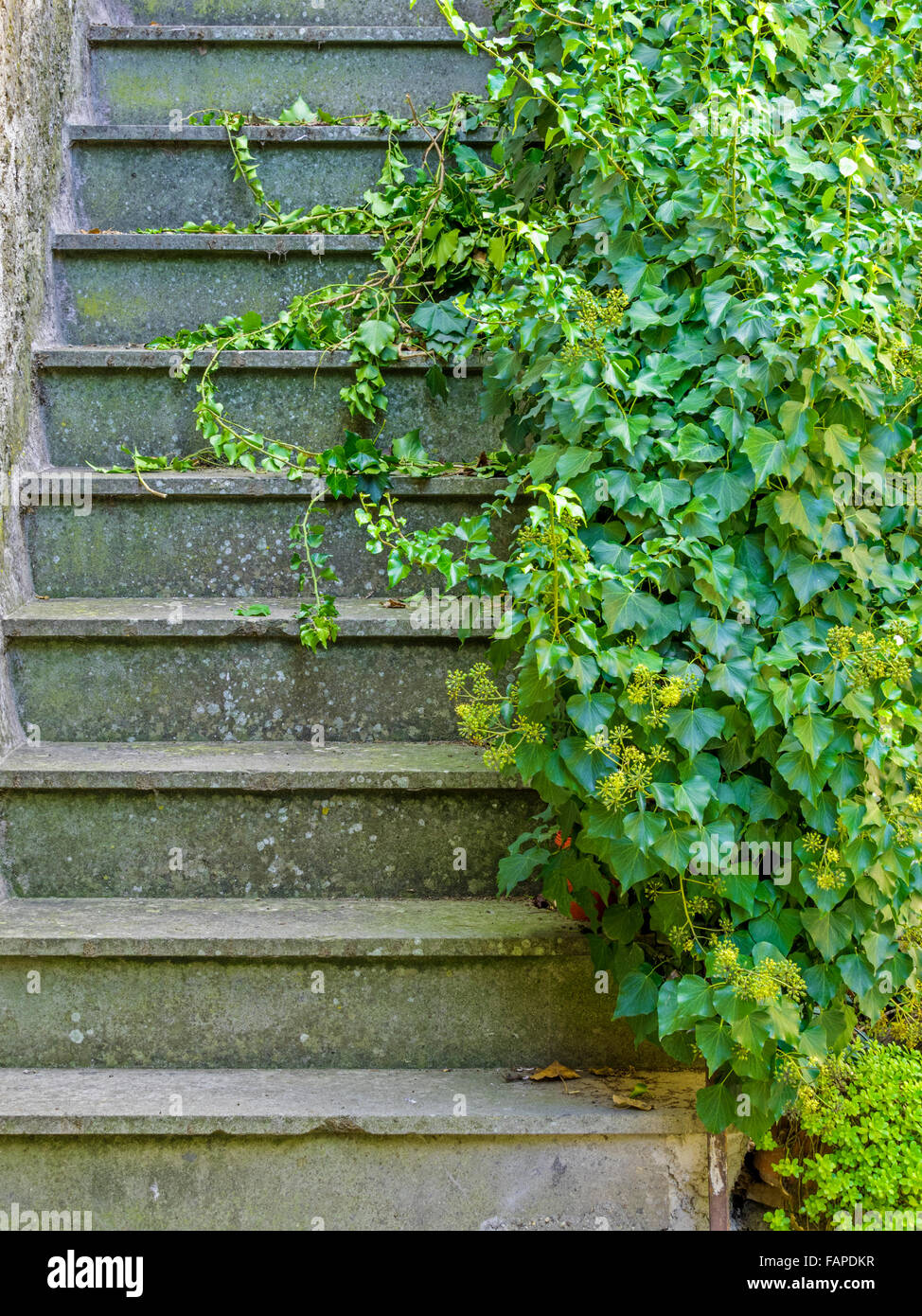 Calcata italy hi-res stock photography and images - Alamy
