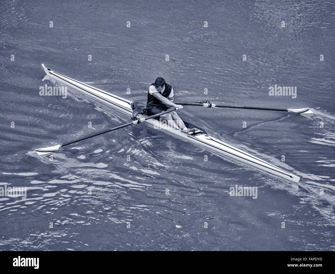 Rowing skull on Tiber River in Rome, Italy Stock Photo - Alamy