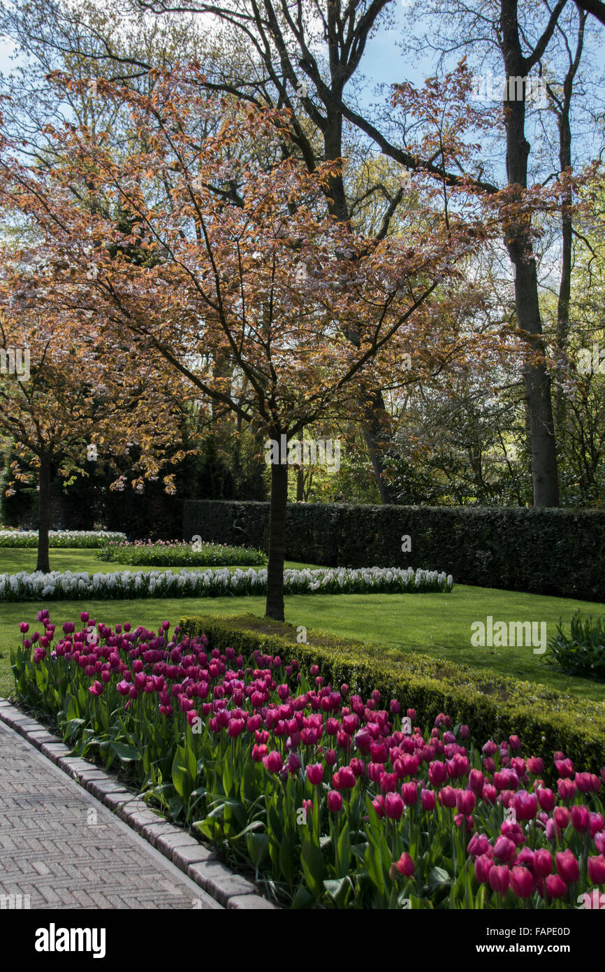 Keukenhof spring garden, Holland Stock Photo - Alamy