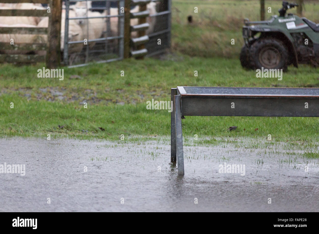 waterlogged farm land Stock Photo - Alamy