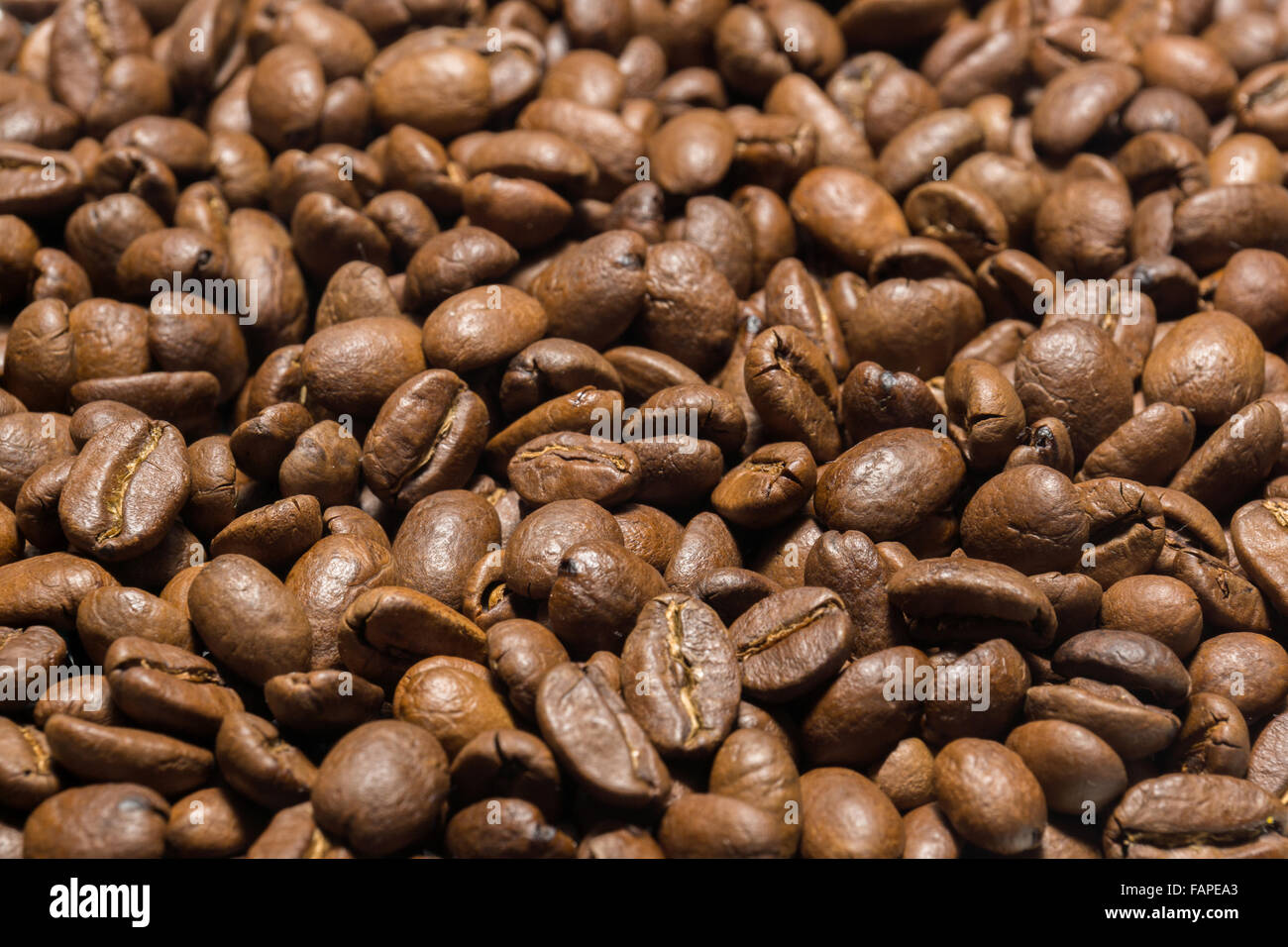 The photo shows roasted Arabica coffee beans Stock Photo - Alamy
