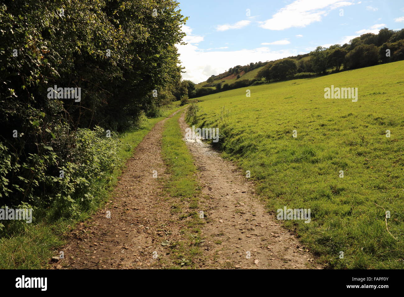 Pathway leading through field,near Chideock,Dorset,UK Stock Photo - Alamy