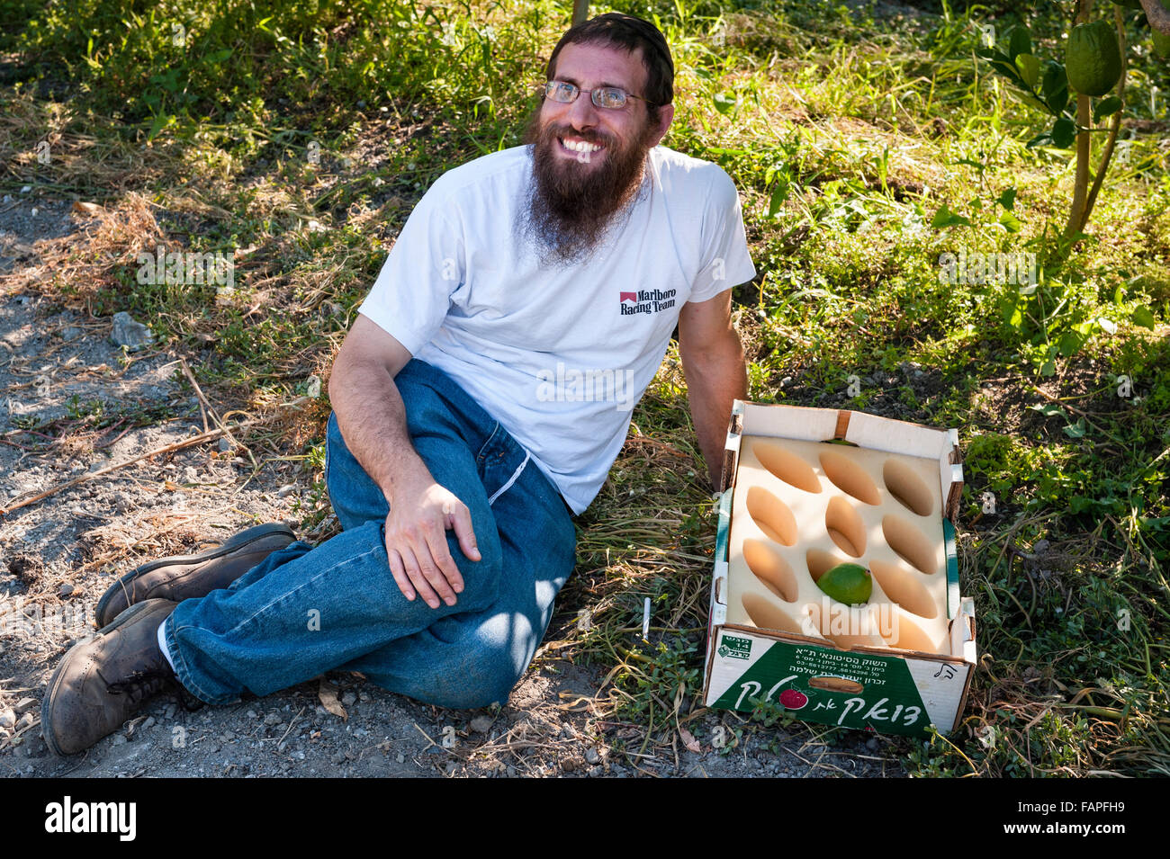 Calabria italy citrus orchard hi-res stock photography and images - Alamy
