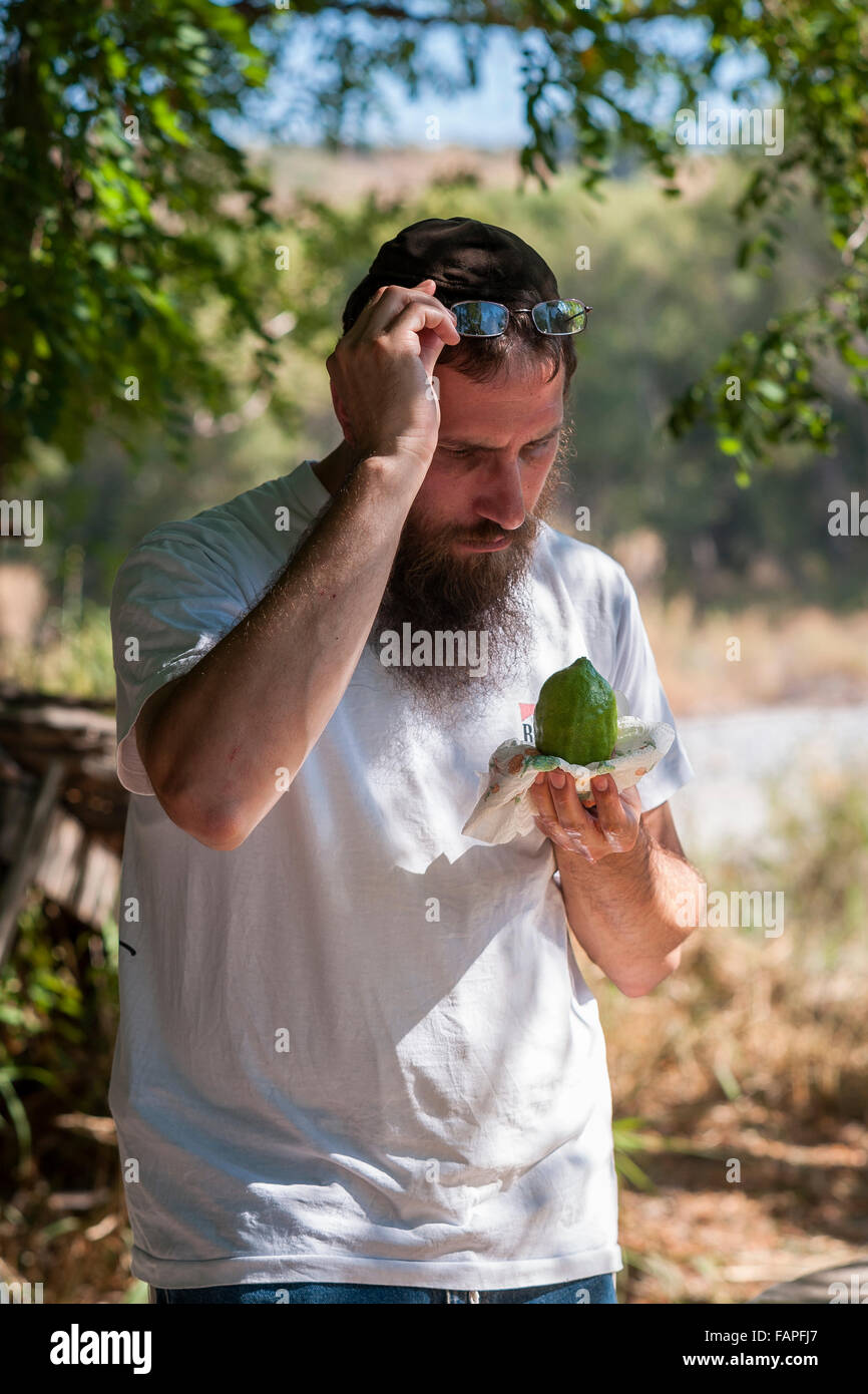 Fruit merchant hi-res stock photography and images - Alamy