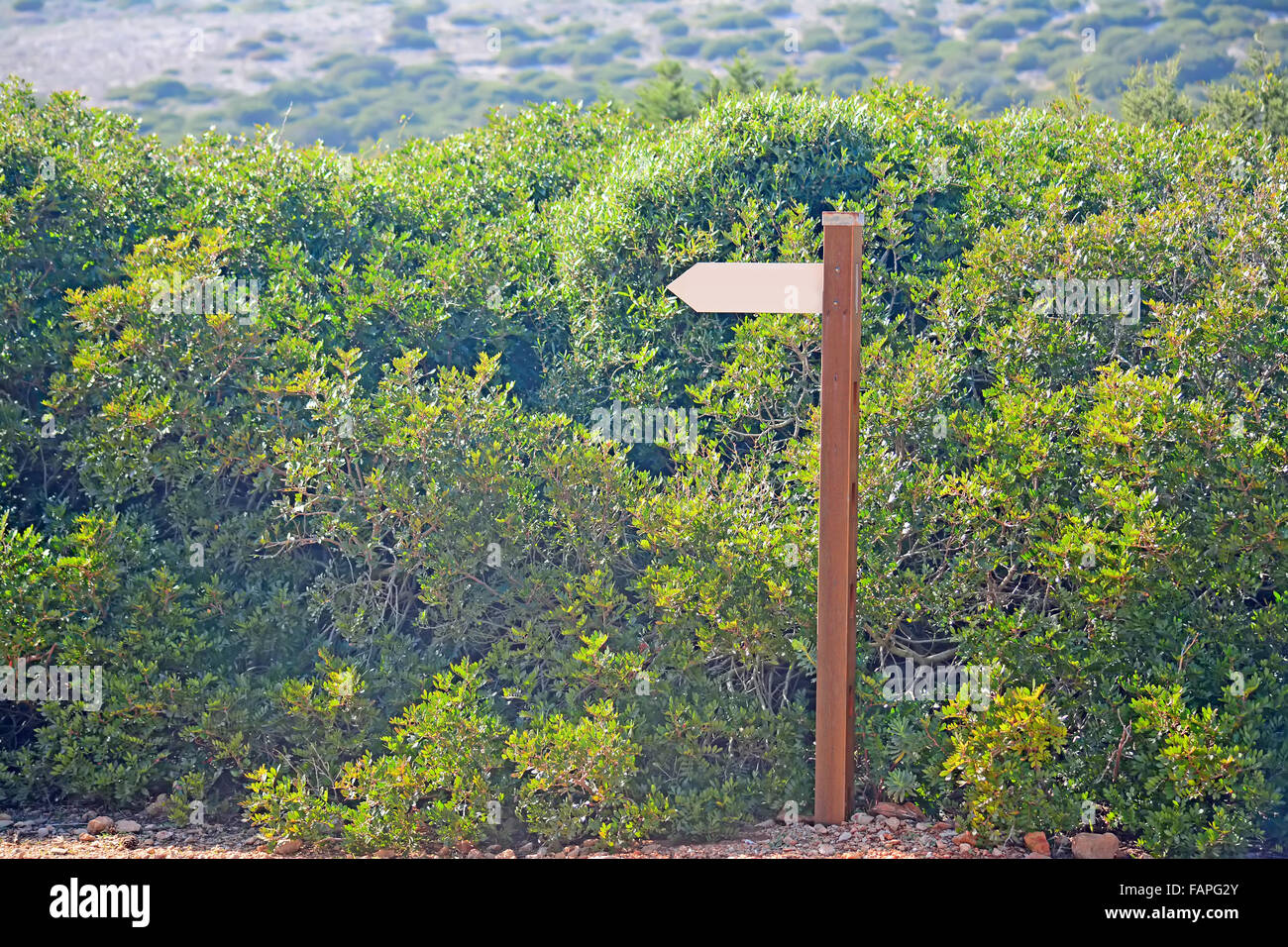 empty sign in a green park Stock Photo - Alamy
