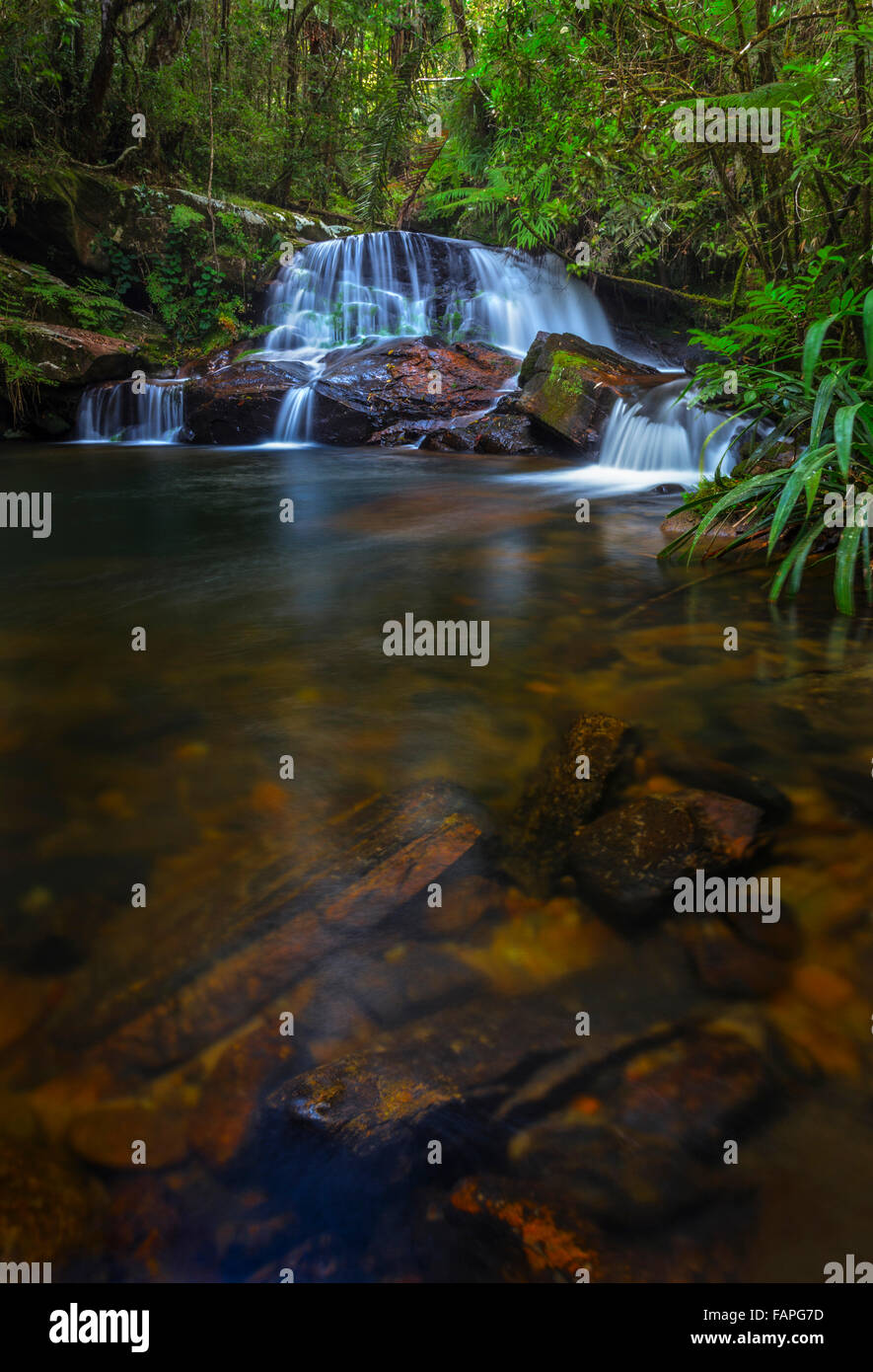 A waterfall in the rainforest of Andasibe Mantadia National Park ...