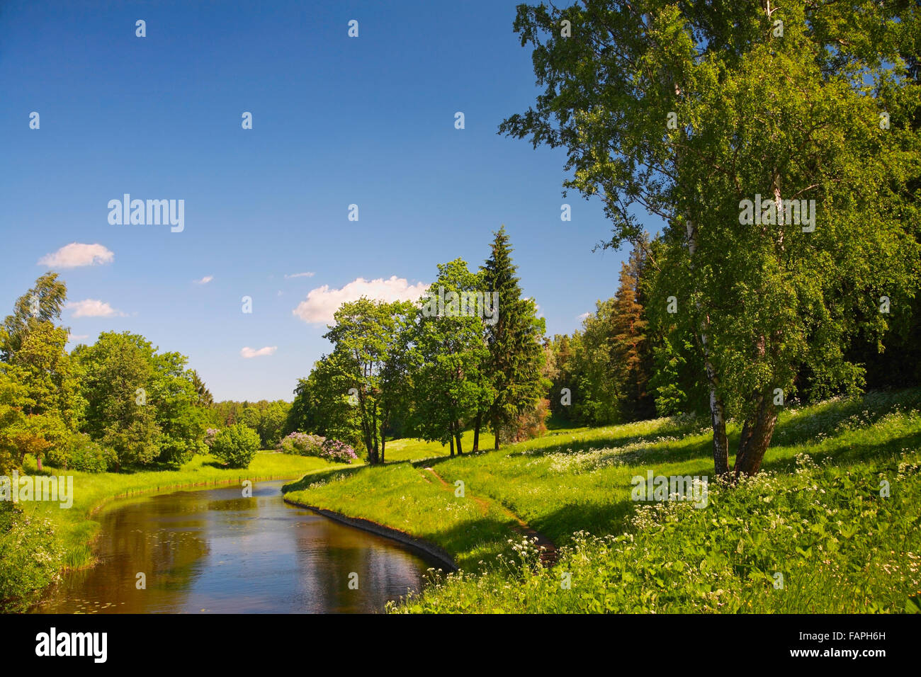 Pavlovsk Park. Riverbank Slavyanka Stock Photo - Alamy