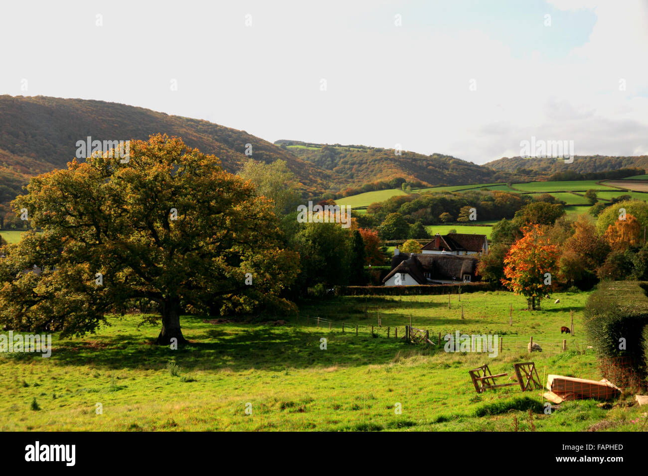 Teign valley river hi-res stock photography and images - Alamy