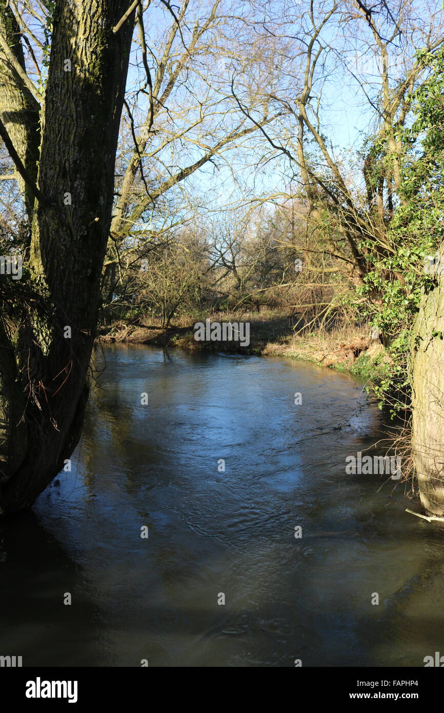 The River Churn in Cotswold Water Park near Swindon Stock Photo - Alamy
