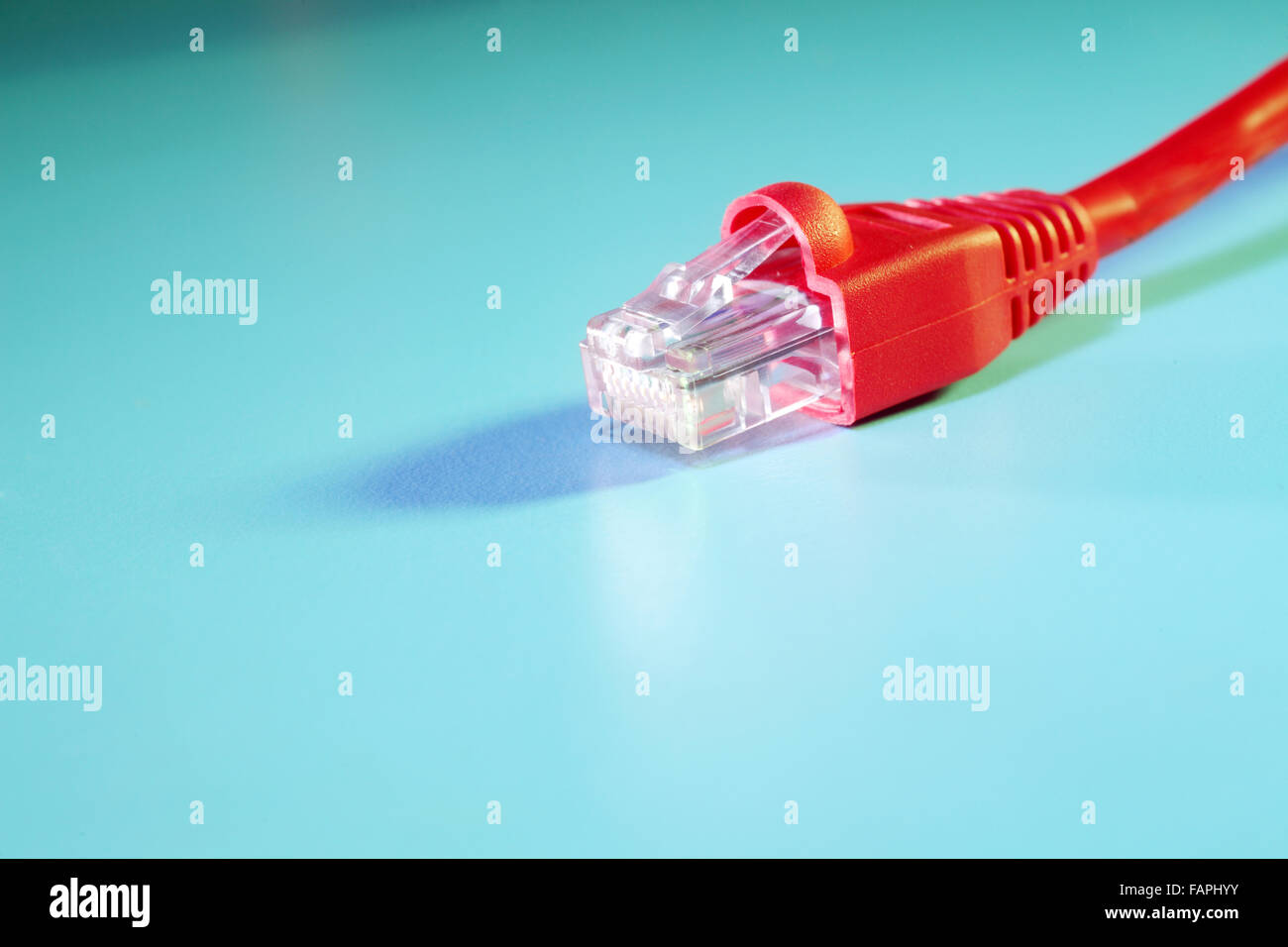 close up of the network cable Stock Photo - Alamy