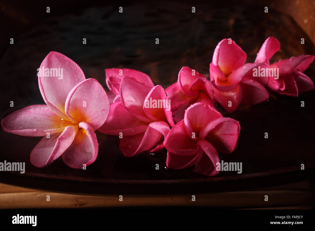 Bamboo frangipani plant plumeria hi-res stock photography and images - Alamy