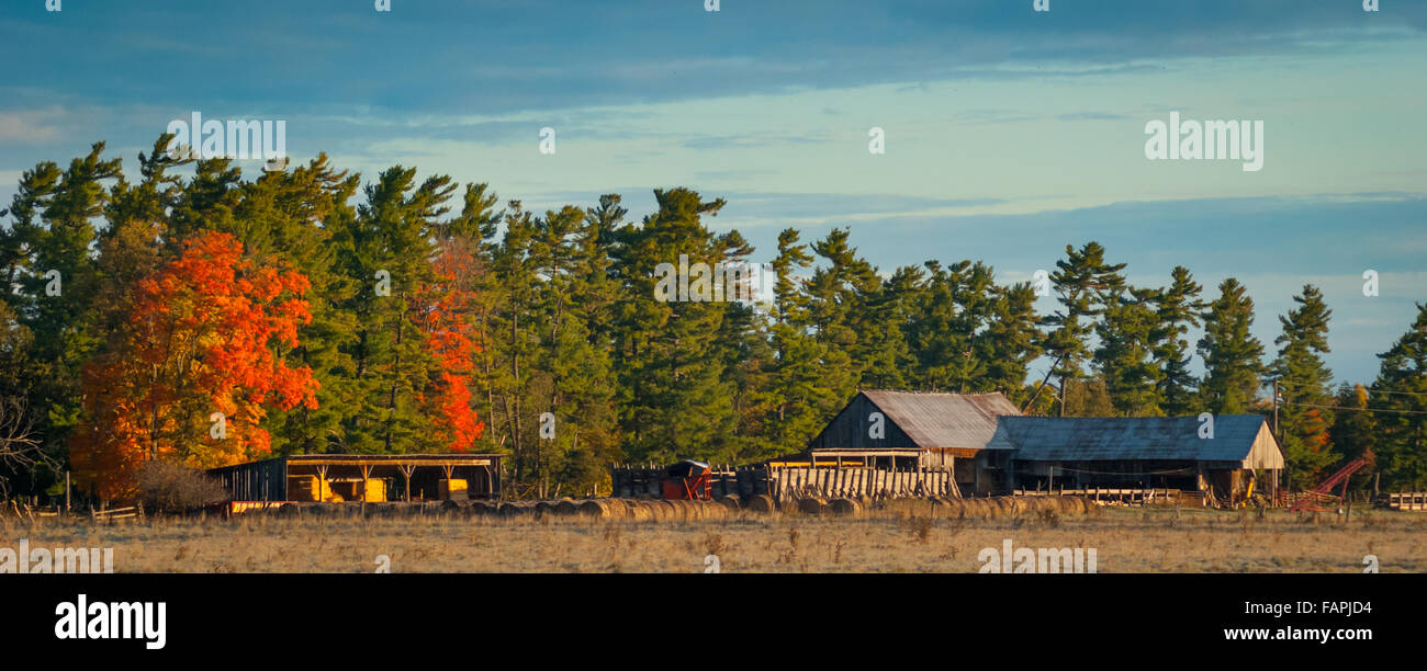 Country setting hi-res stock photography and images - Alamy