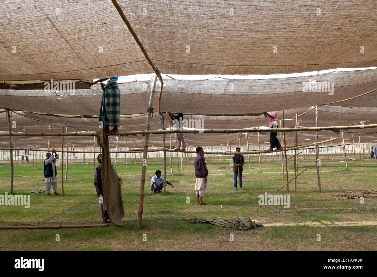 Dhaka, Bangladesh. 03rd Jan, 2016. Bangladeshi Muslim volunteers fix a ...