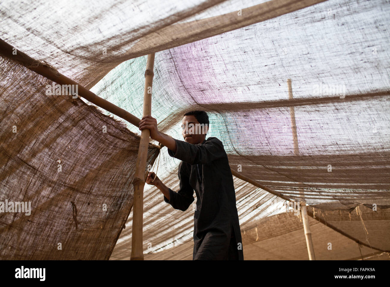 Dhaka, Bangladesh. 03rd Jan, 2016. Bangladeshi Muslim volunteers fix a ...