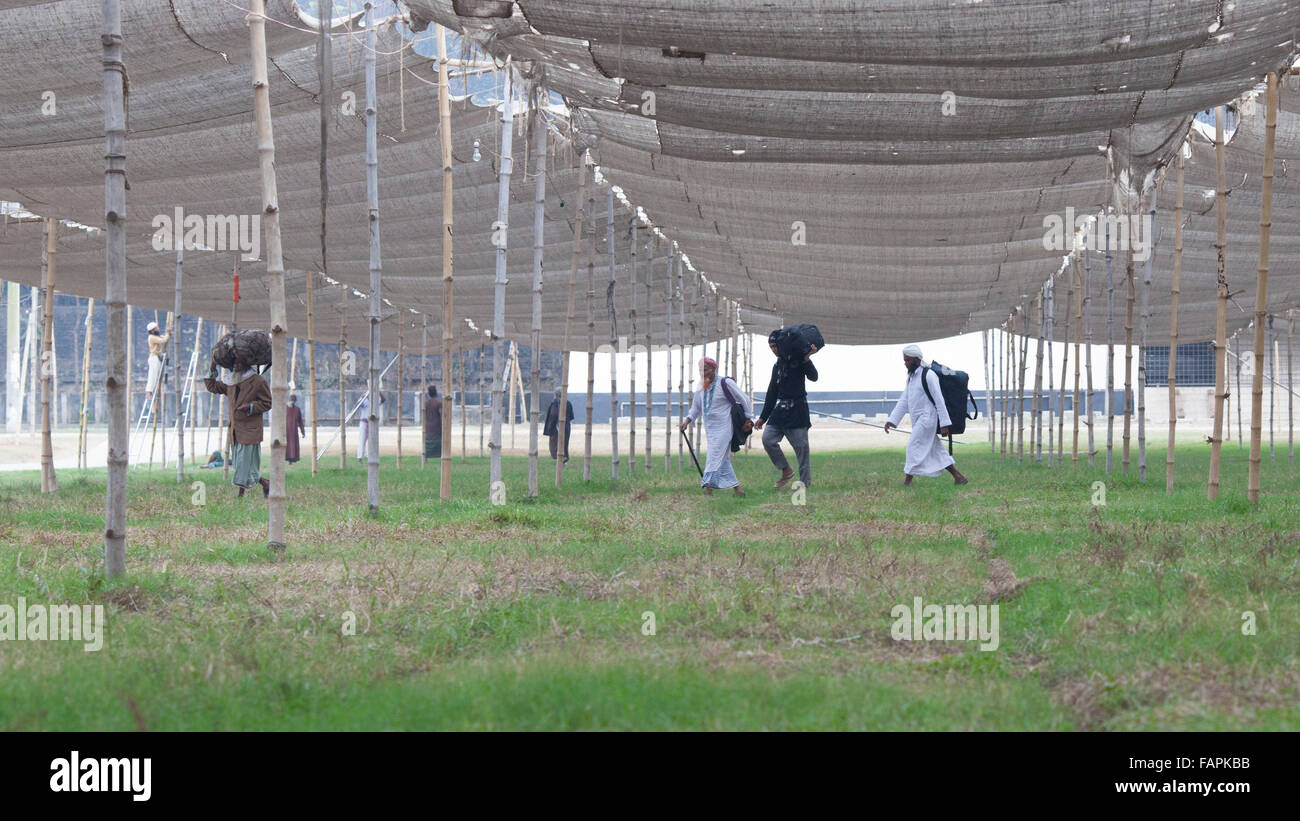 Largest tent in the world hi-res stock photography and images - Alamy