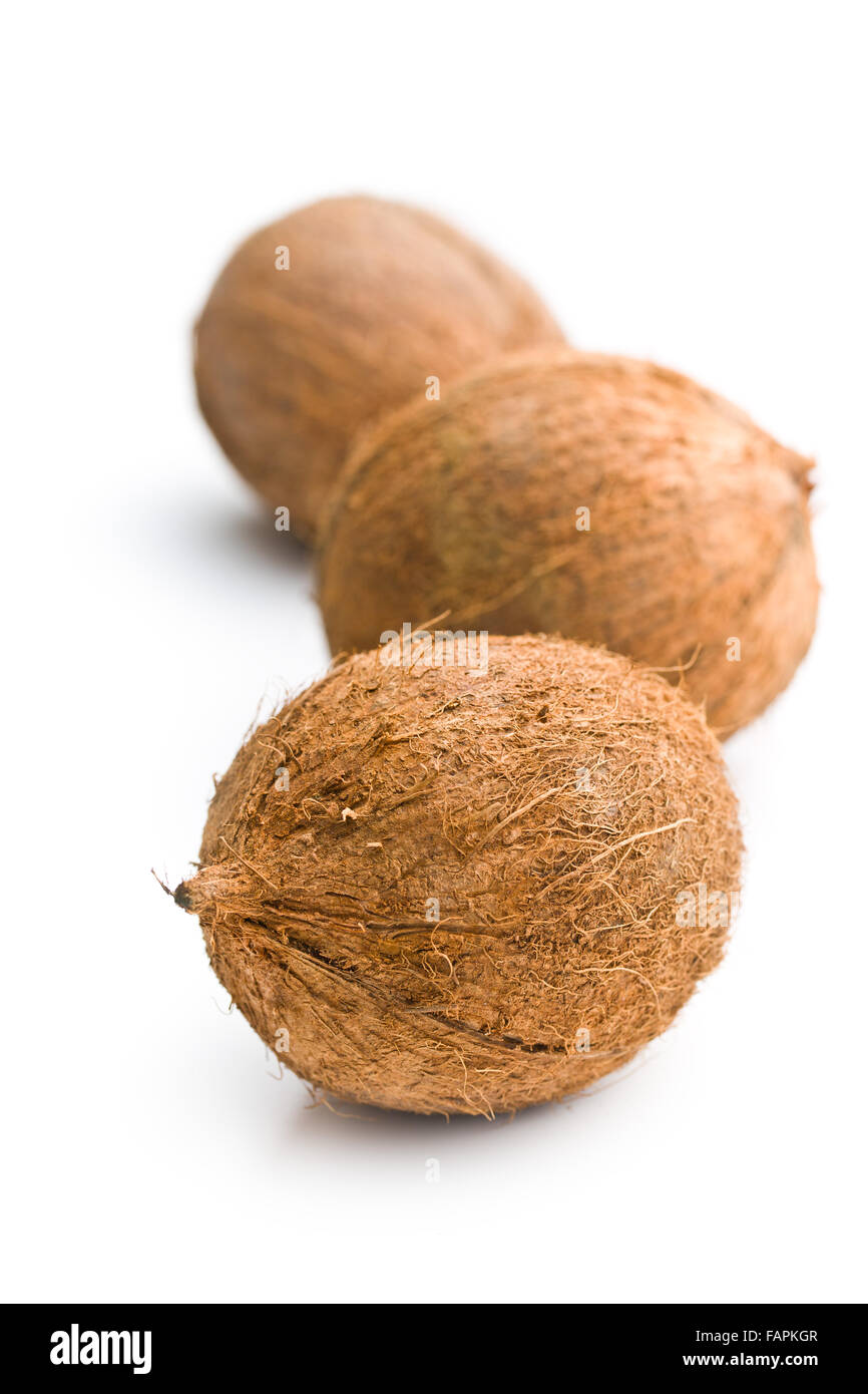 three whole coconuts on white background Stock Photo - Alamy