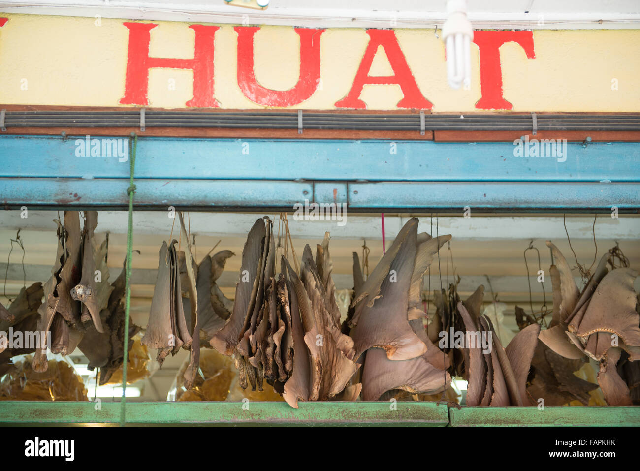 Sharks fins for soup hi-res stock photography and images - Alamy