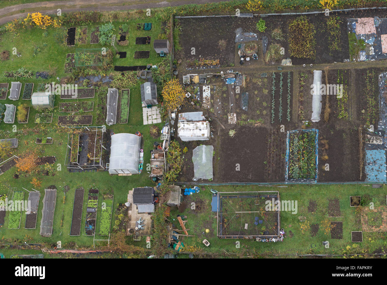 Aerial view of garden allotments from the air in Oxford showing ...