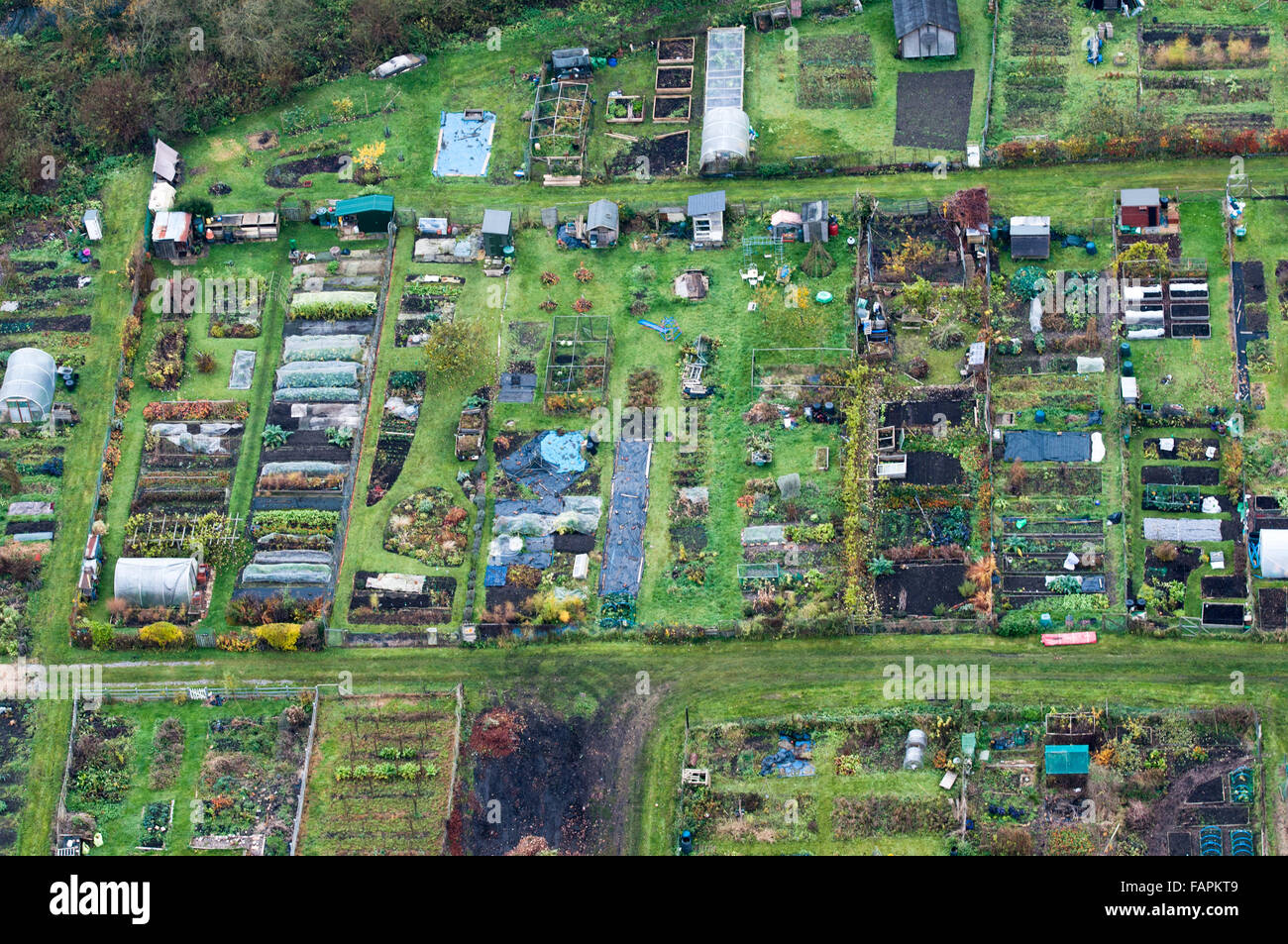 Aerial view of garden allotments from the air in Oxford showing ...