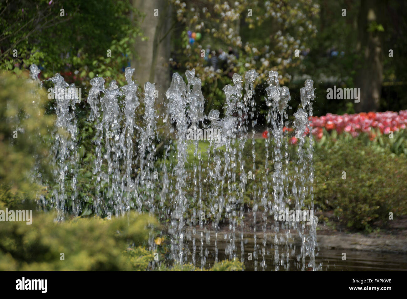 Fountain in the Keukenhof park Stock Photo - Alamy