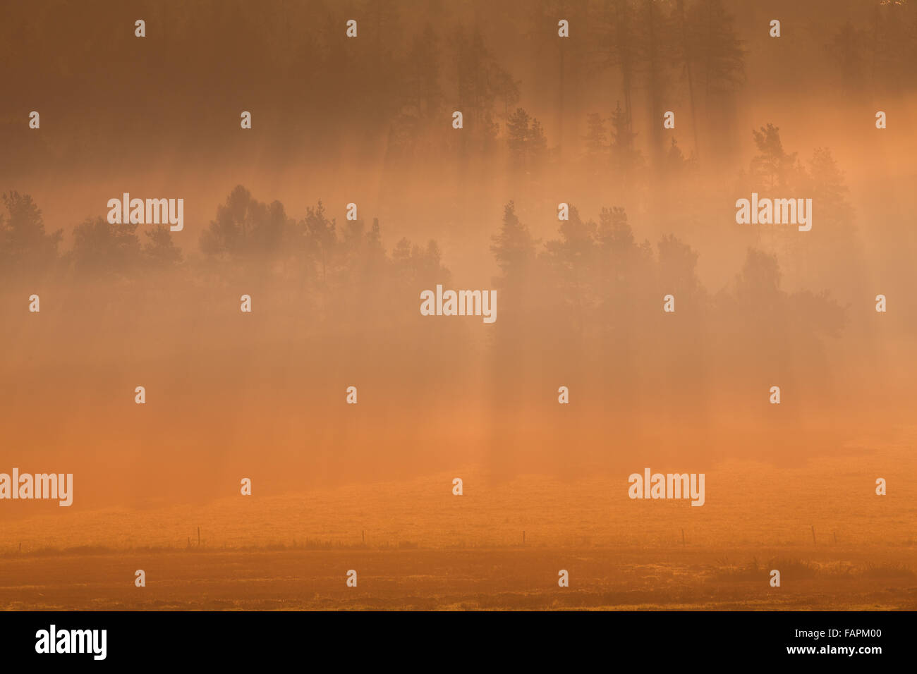 Autumn scenery on the Czech highlands in the morning mist Stock Photo ...