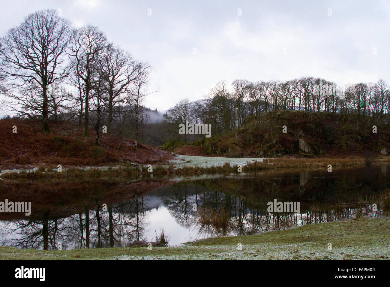 Elterwater in winter Stock Photo - Alamy