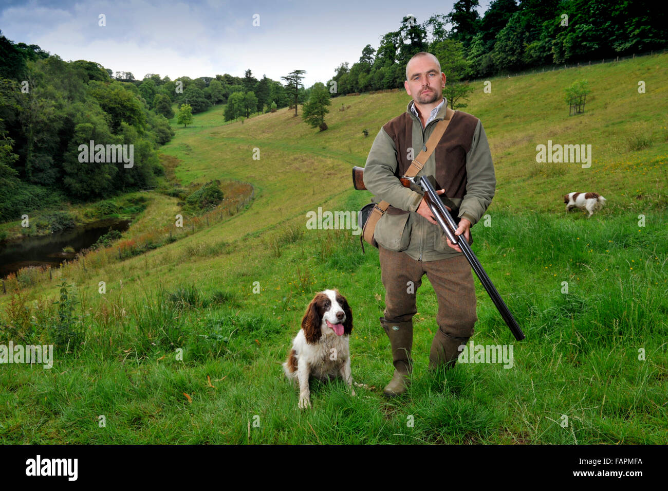 Darren Ninnis,gamekeeper with shotgun and dogs and a retained ...