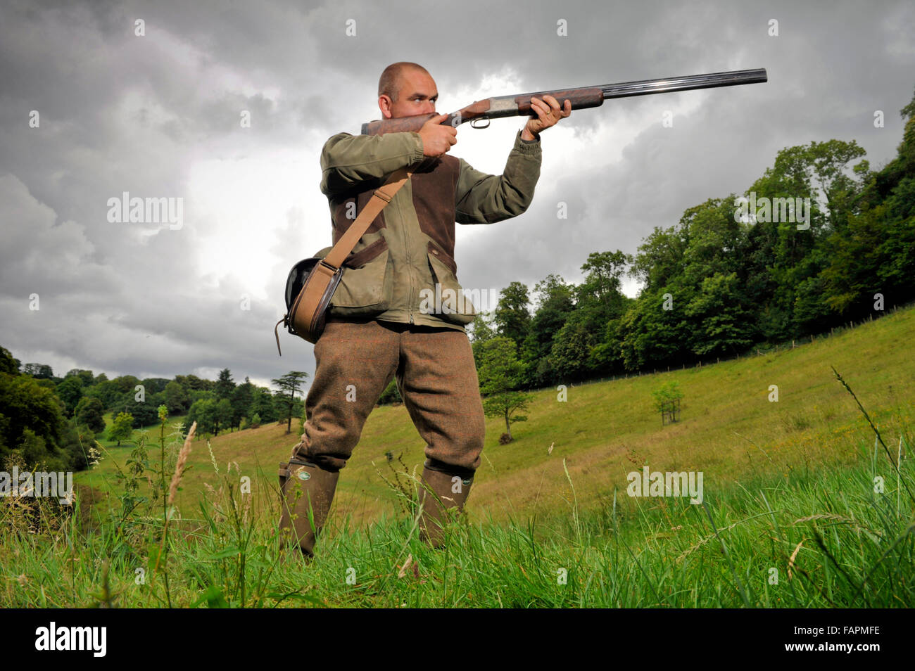 Gamekeepers dogs hi-res stock photography and images - Alamy