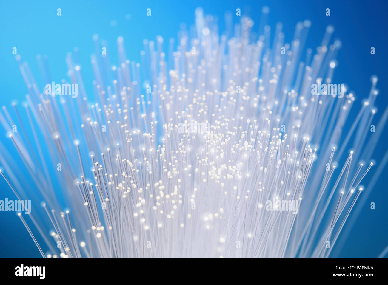 close up of bundle of fiber optic Stock Photo - Alamy